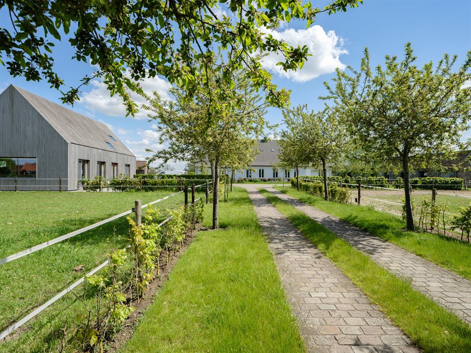 11 woningen te koop in Zomergem | Infinimo