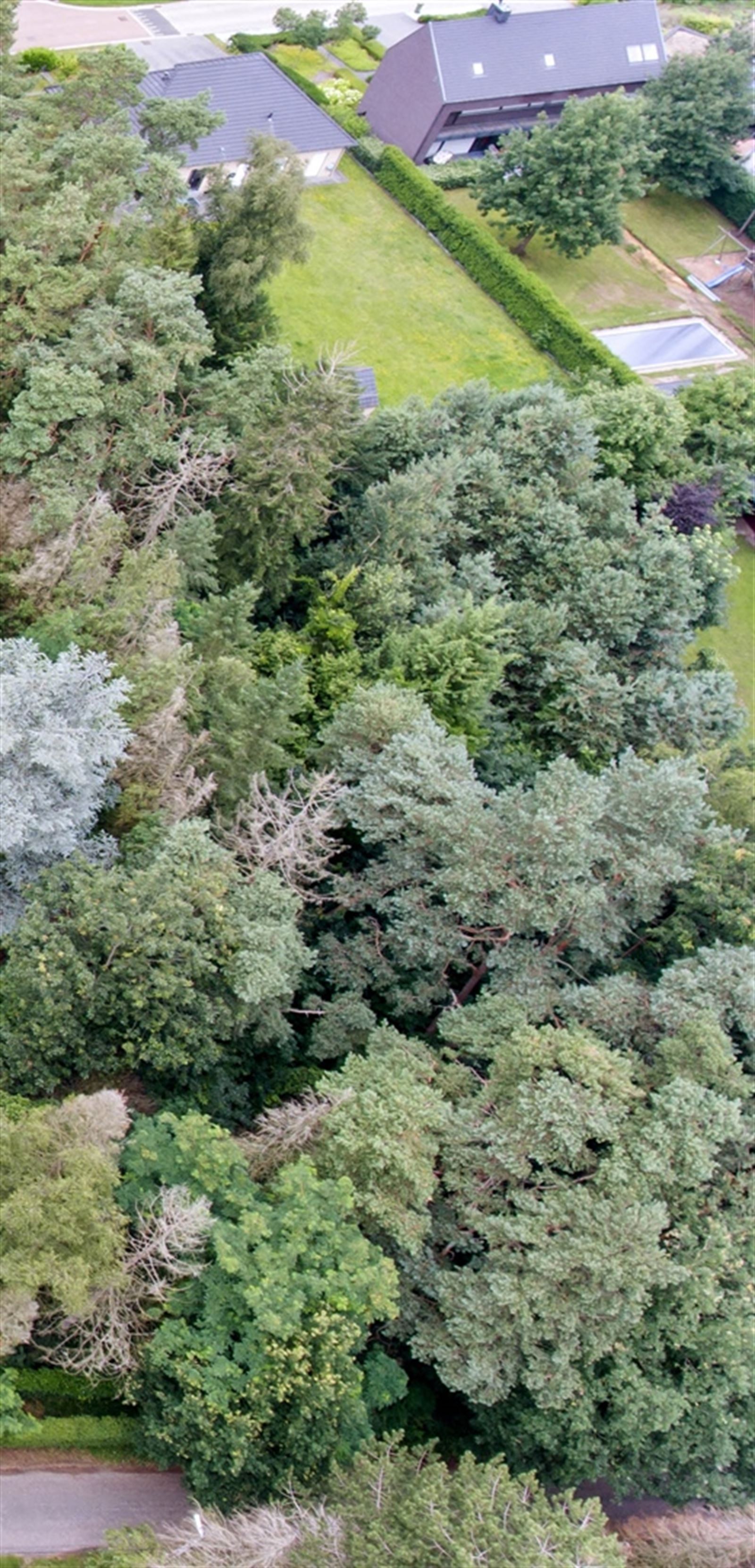Bouwgrond in rustige omgeving te koop te NIJLEN (2560) | Vastgoedhuys